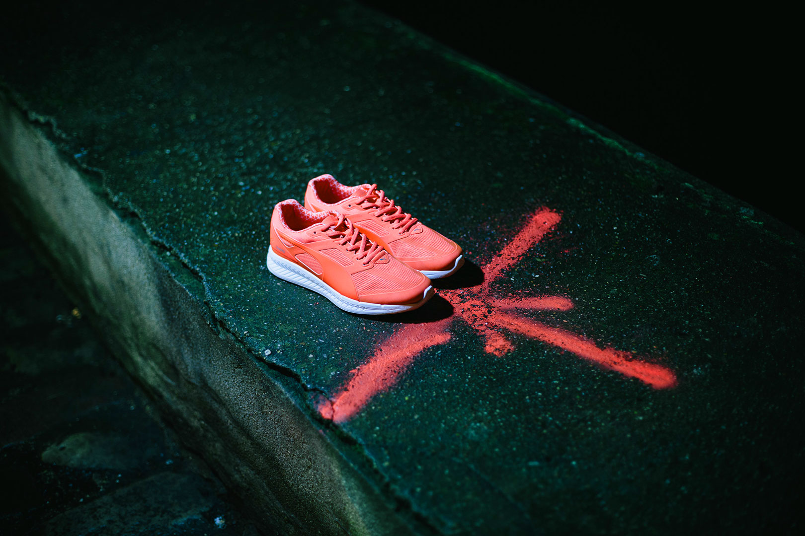 Fargo Circle Studio - Puma