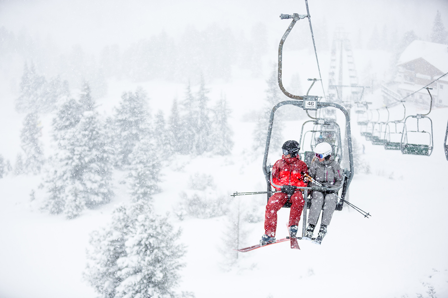 Fargo Circle Studio - All Mountain